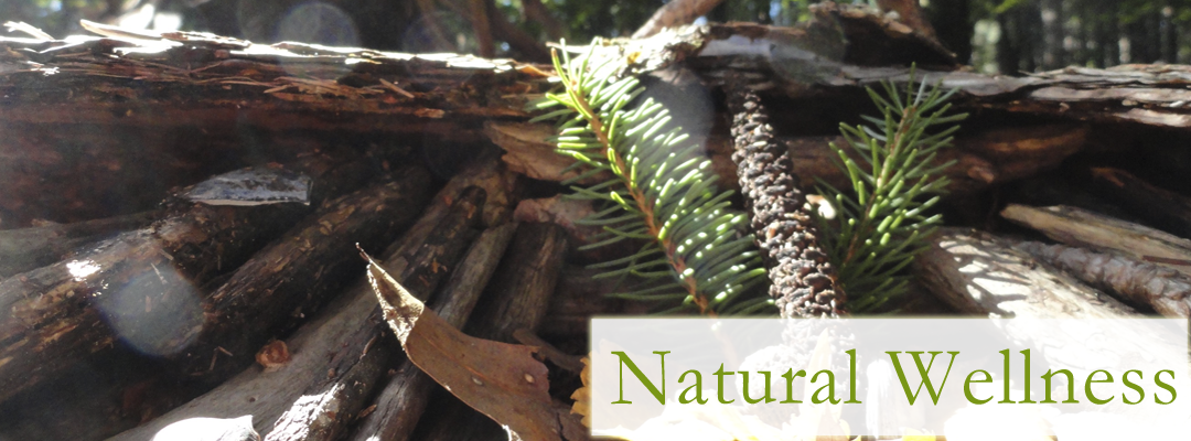 Natural Wellness – The HouseHolder's Path
